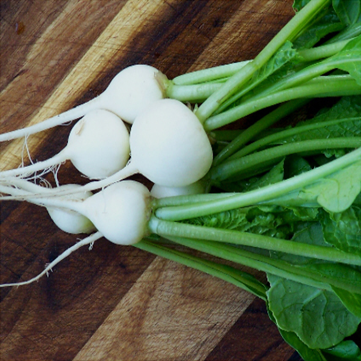 White Globe Radish