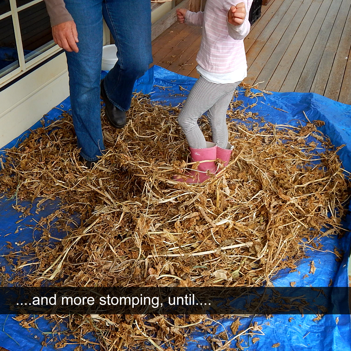 STEP 2: SEPARATE THE PEAS FROM THE CHAFF
