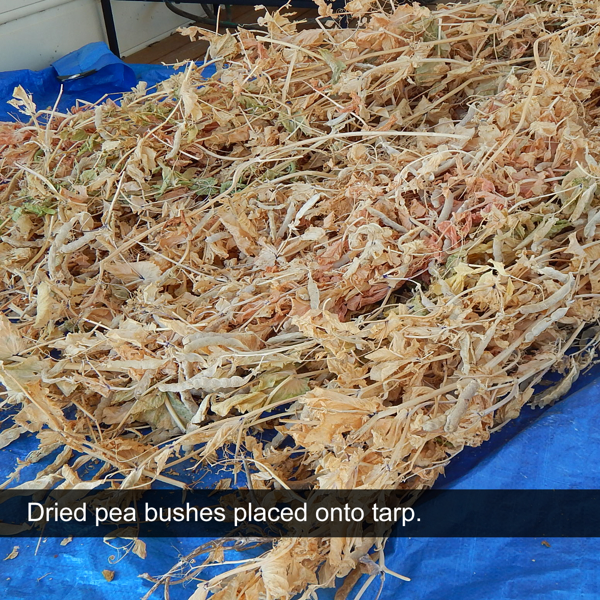 STEP 2: SEPARATE THE PEAS FROM THE CHAFF