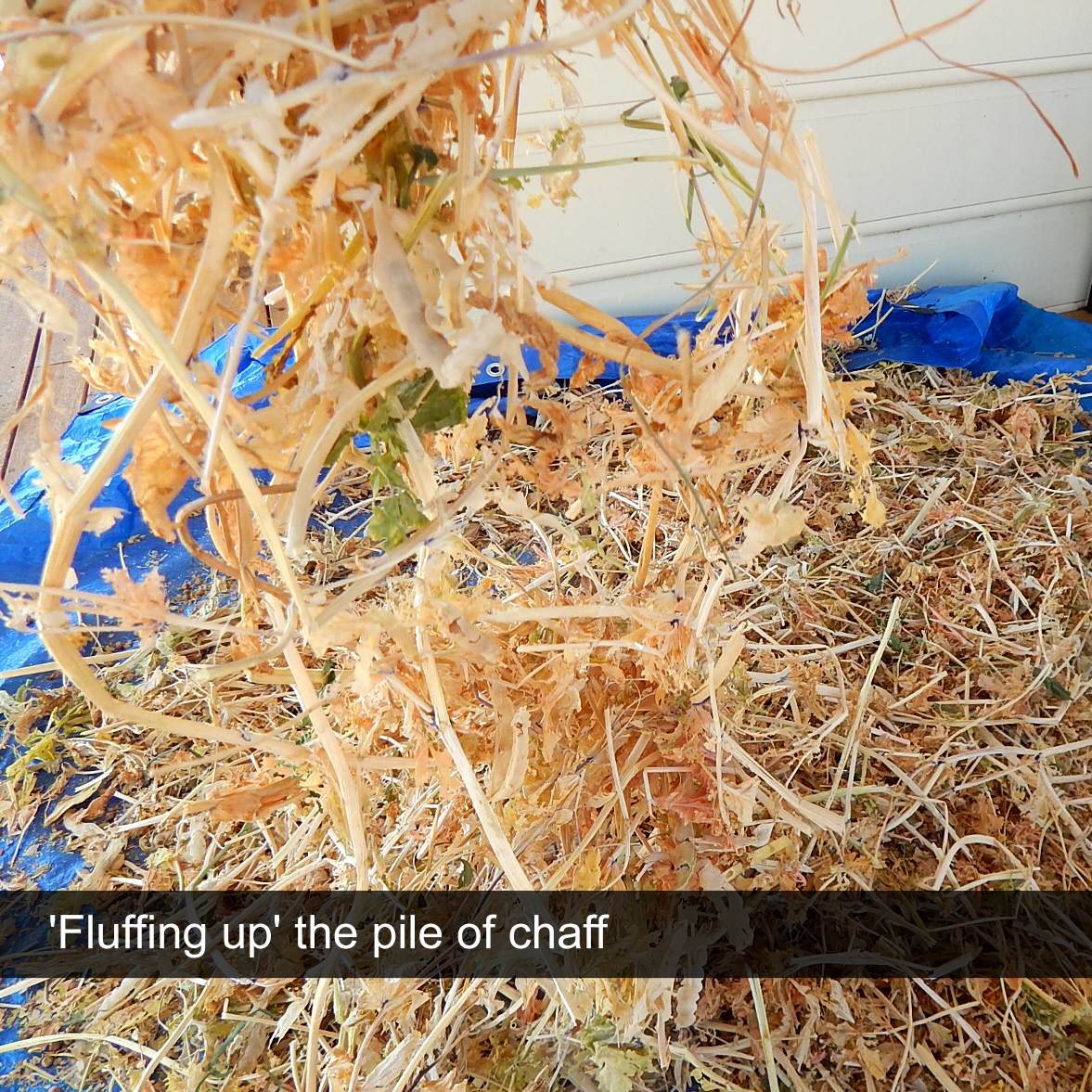 STEP 3: SIEVING TO CLEAN