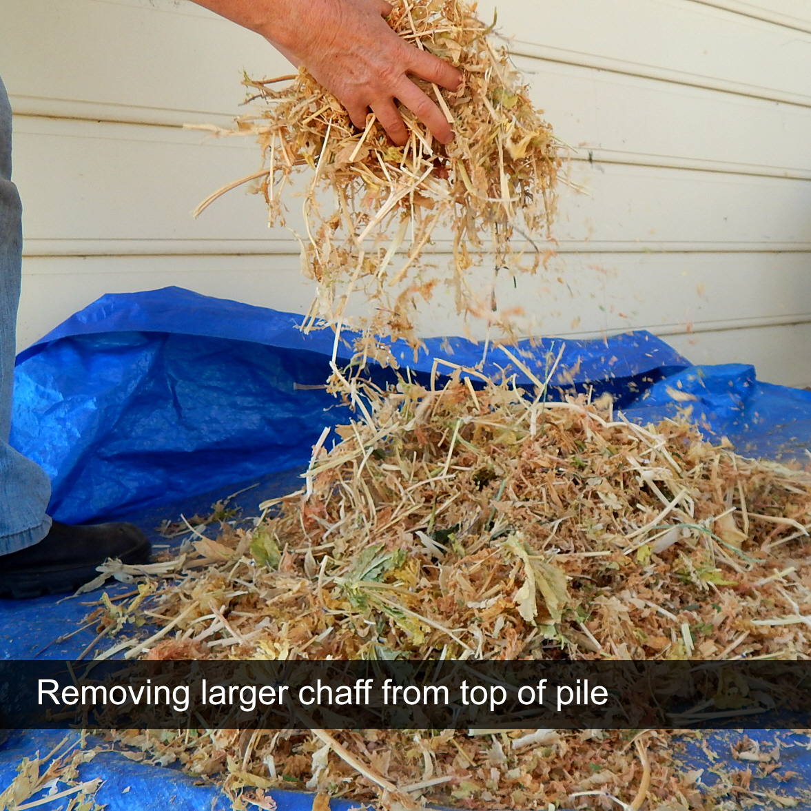 STEP 3: SIEVING TO CLEAN