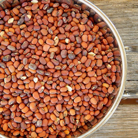 SEED GREEN MANURE / FIELD CROP